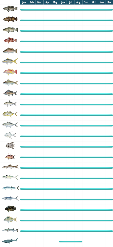 Yearly Fish Calendar - Mohawk